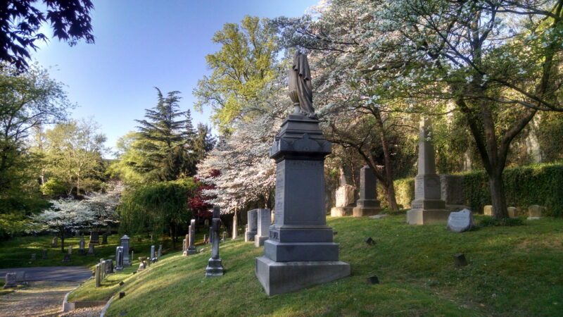 Photo Gallery - Oak Hill Cemetery
