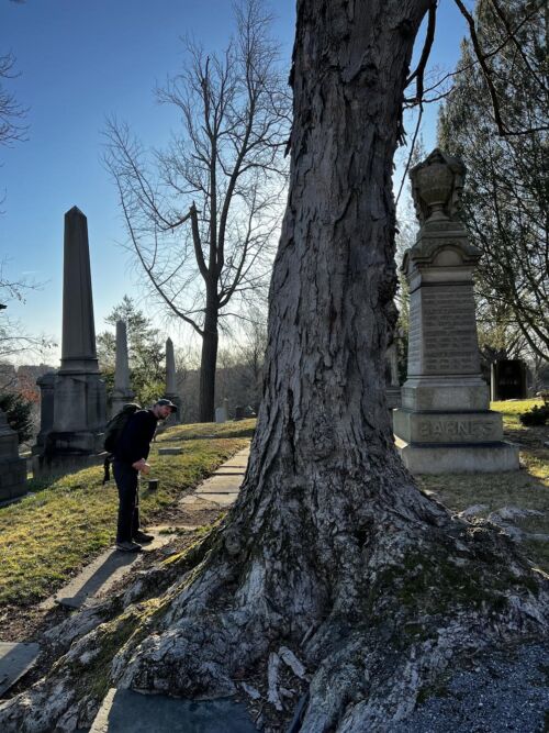 Significant Tree Walk with Historical Ecologist Michael Gaige - Oak ...