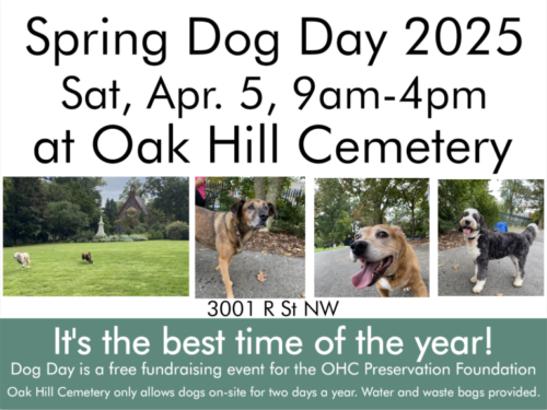 Spring Dog Day 2025 - Oak Hill Cemetery