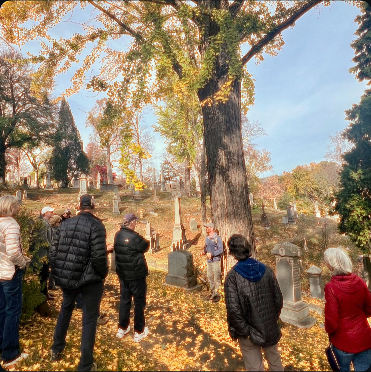 Historic Tree Walking Tour at Sunday November 16th - Oak Hill Cemetery